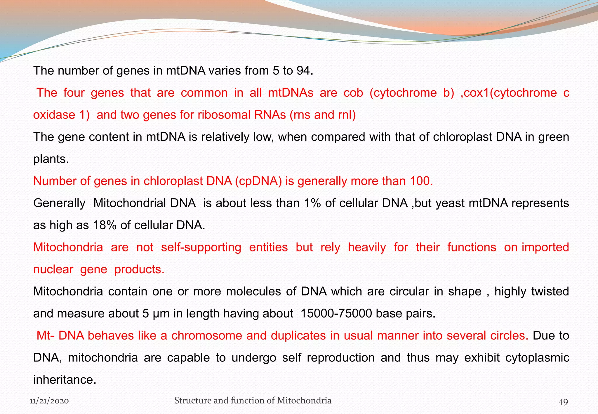 Structure and functions of Mitochondria | PPTX | Biological Sciences | Science