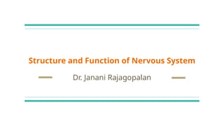Structure and Function of Nervous System - HJR.pptx