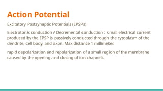 Structure and Function of Nervous System - HJR.pptx