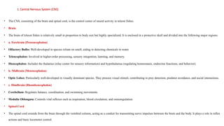 Structure_and_function_of_Nervous_system_in_Teleost_Fishes[1].pptx