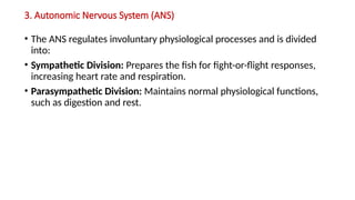 Structure_and_function_of_Nervous_system_in_Teleost_Fishes[1].pptx