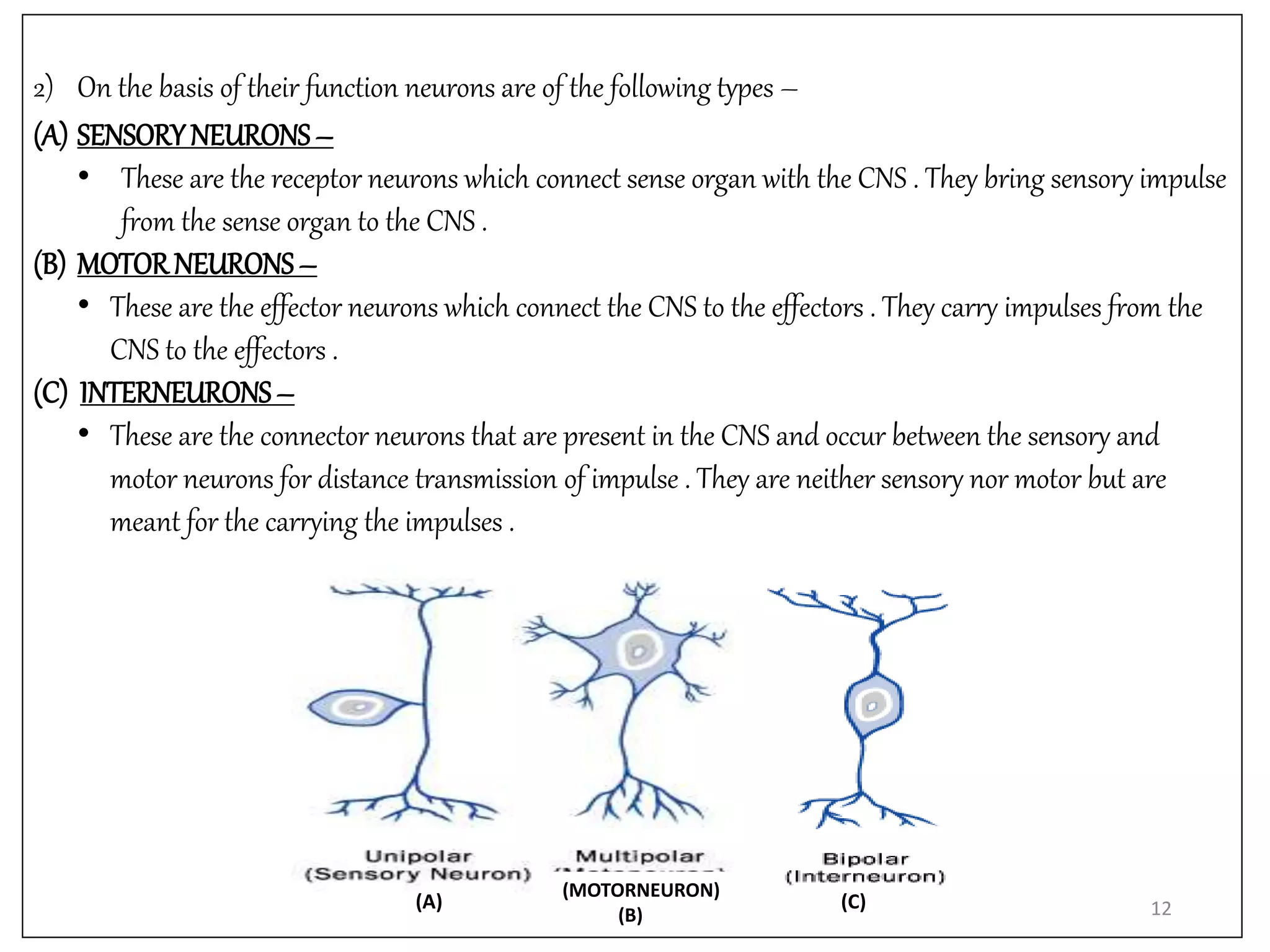 Structure and function of neuron | PPTX