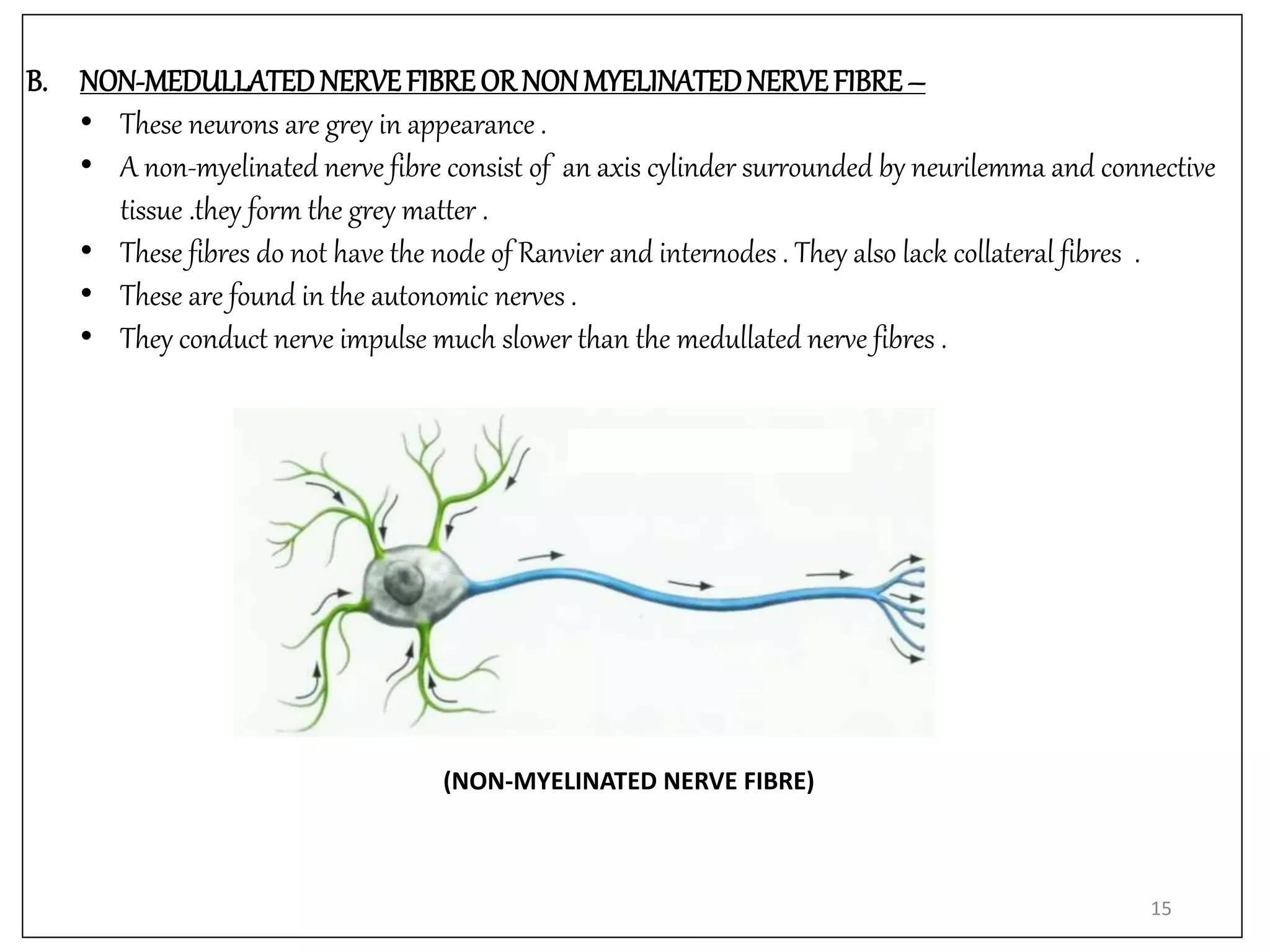 Structure and function of neuron | PPTX