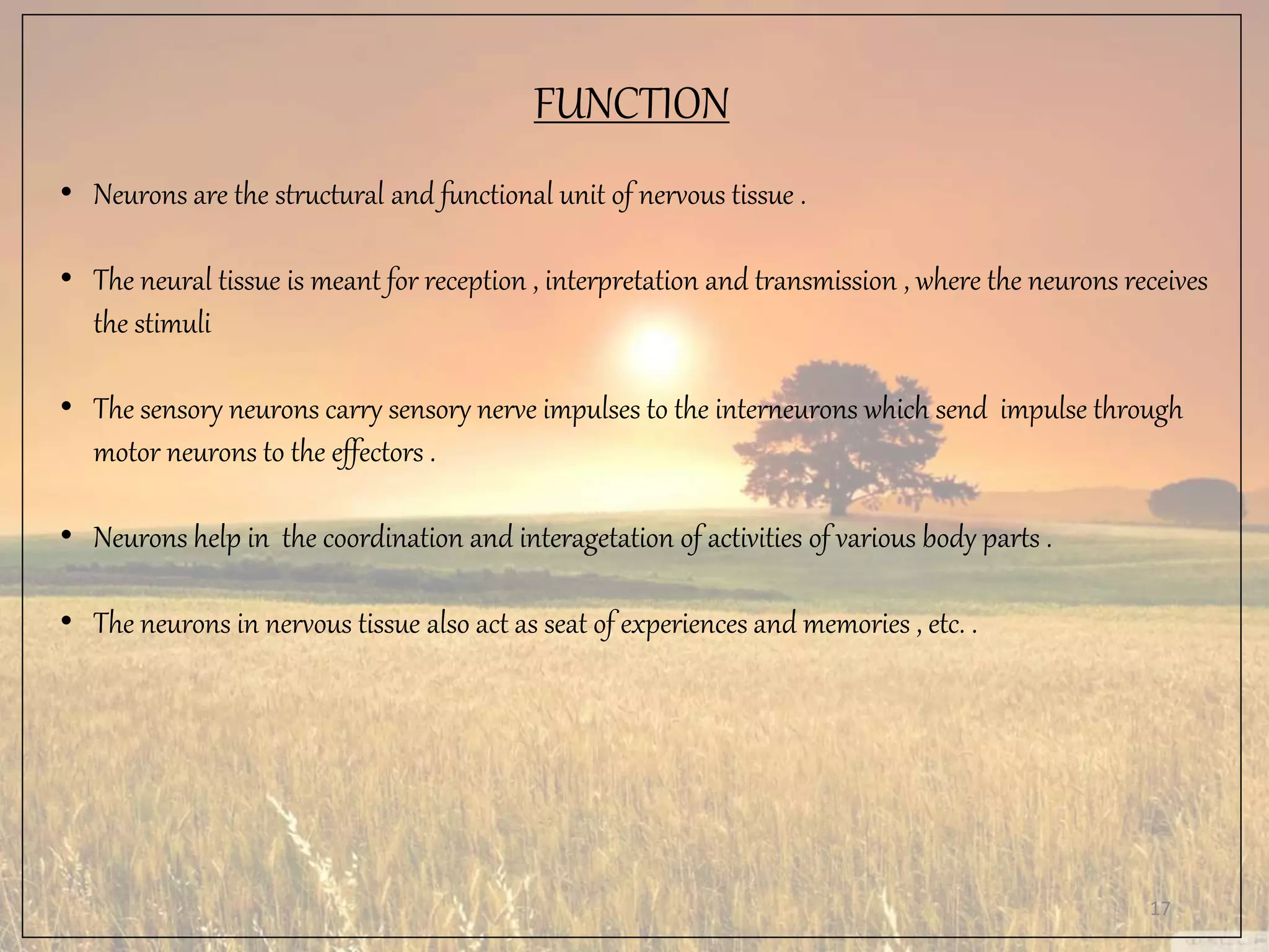 Structure and function of neuron | PPTX