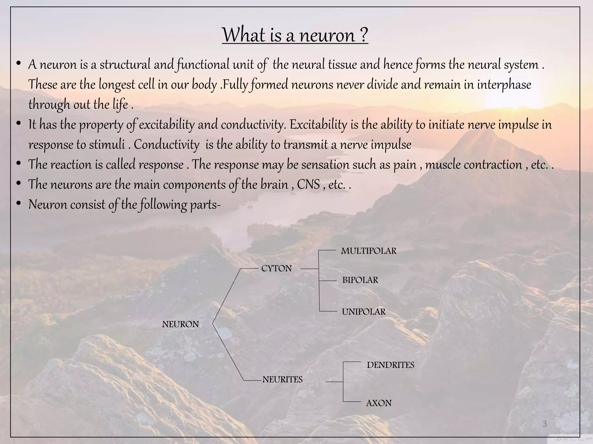 Structure and function of neuron | PPTX