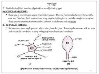 Structure and function of neuron | PPTX