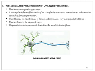 Structure and function of neuron | PPTX
