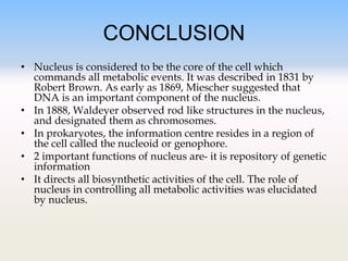 STRUCTURE AND FUNCTIONS OF NUCLEUS OF A CELL.pptx