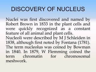 STRUCTURE AND FUNCTIONS OF NUCLEUS OF A CELL.pptx