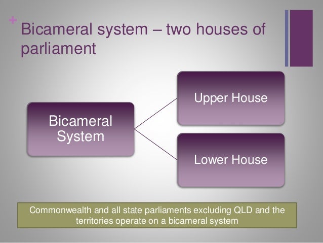 Structure and function of parliament