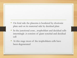 Structure and function of placenta | PPTX