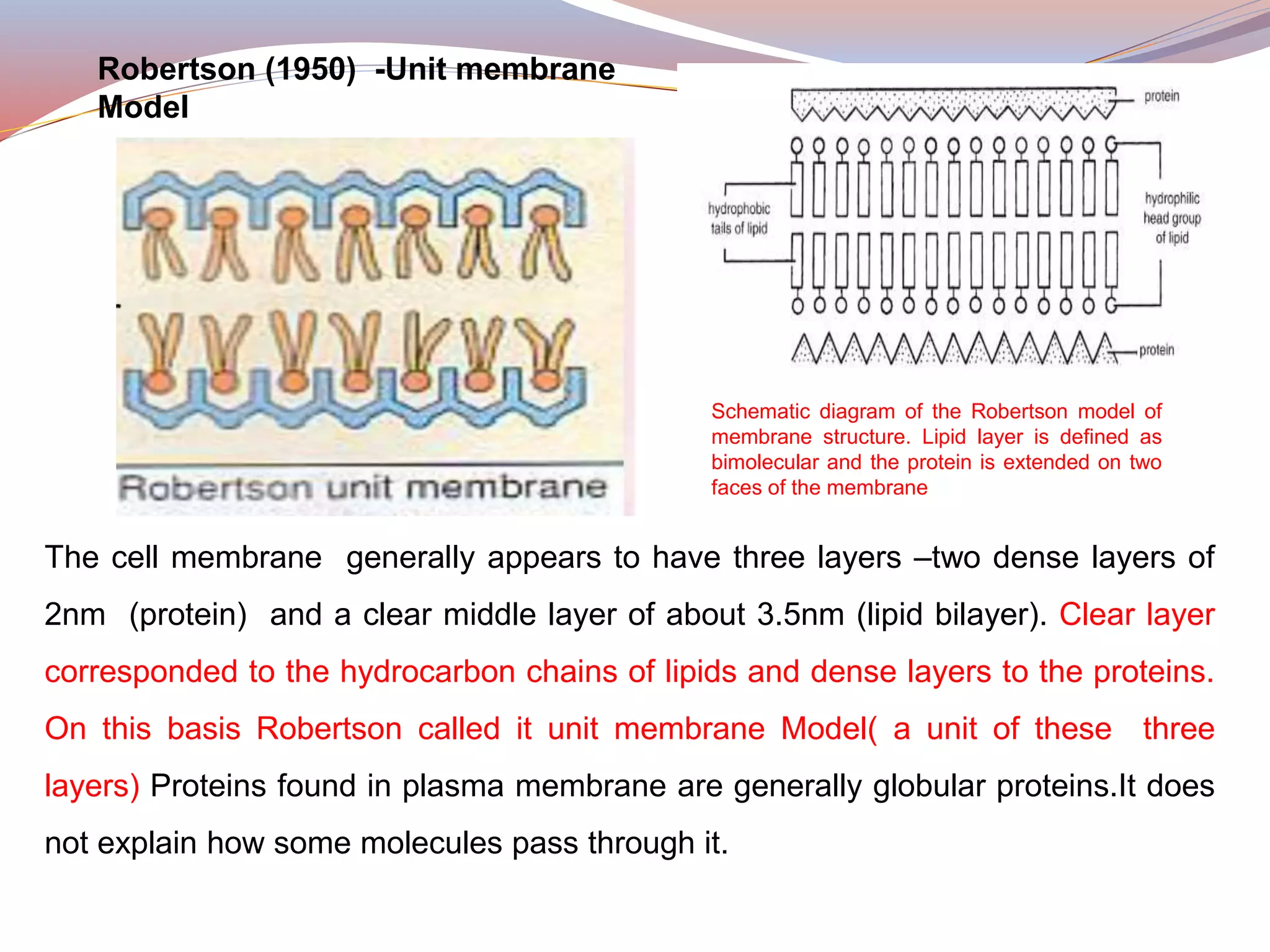 Structure and function of plasma membrane 2 | PPTX