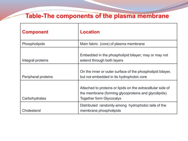 Structure and function of plasma membrane 2 | PPTX | Biological ...