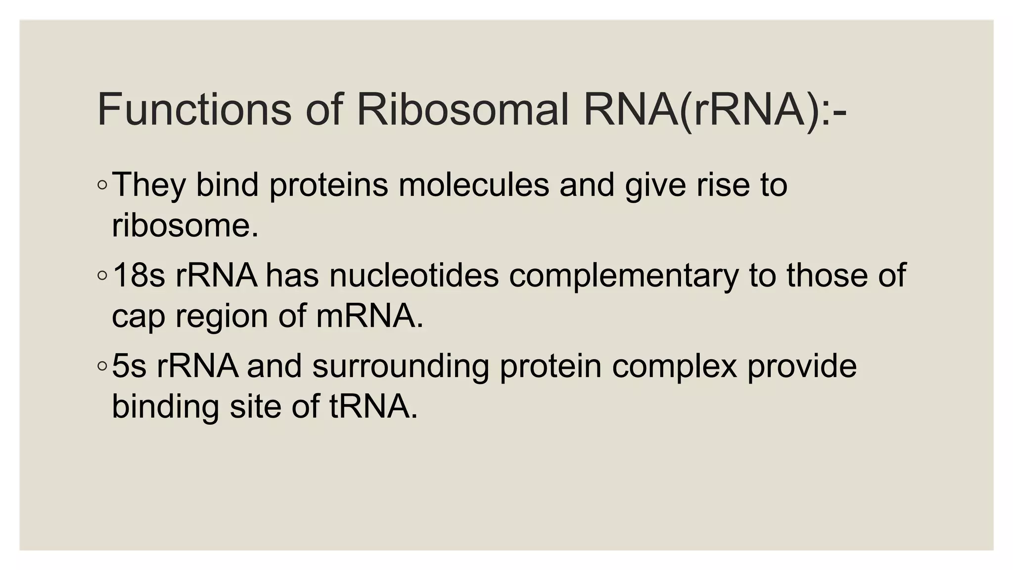 Structure and function of rna | PPTX
