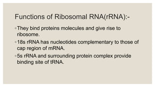 Structure and function of rna | PPT