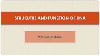 RNA | PPT