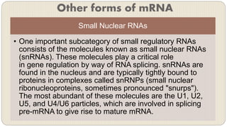 RNA | PPT