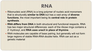 RNA | PPT