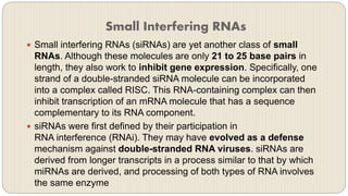 RNA | PPT