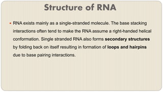 RNA | PPT