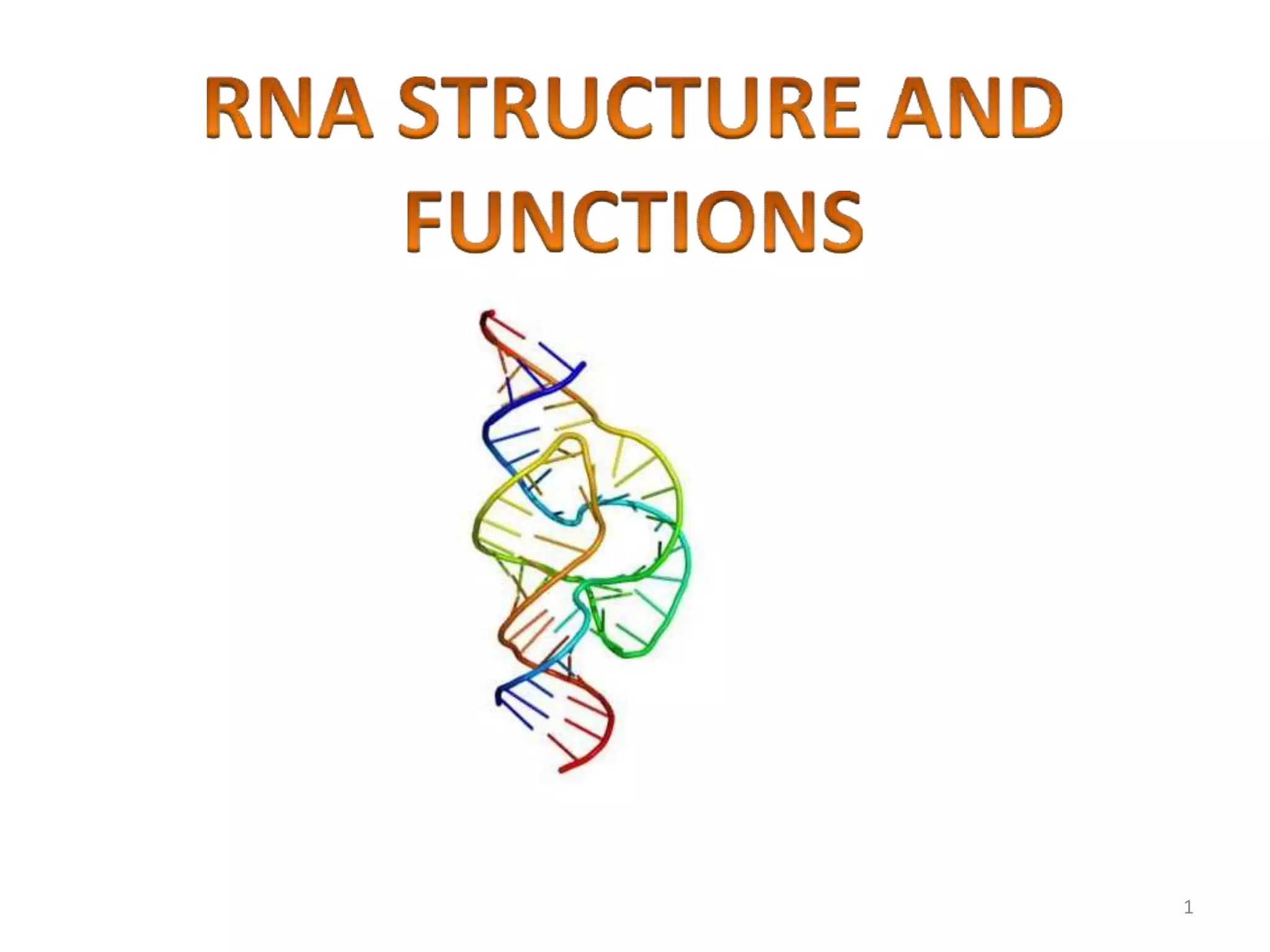 Structure and function of RNA.pptx