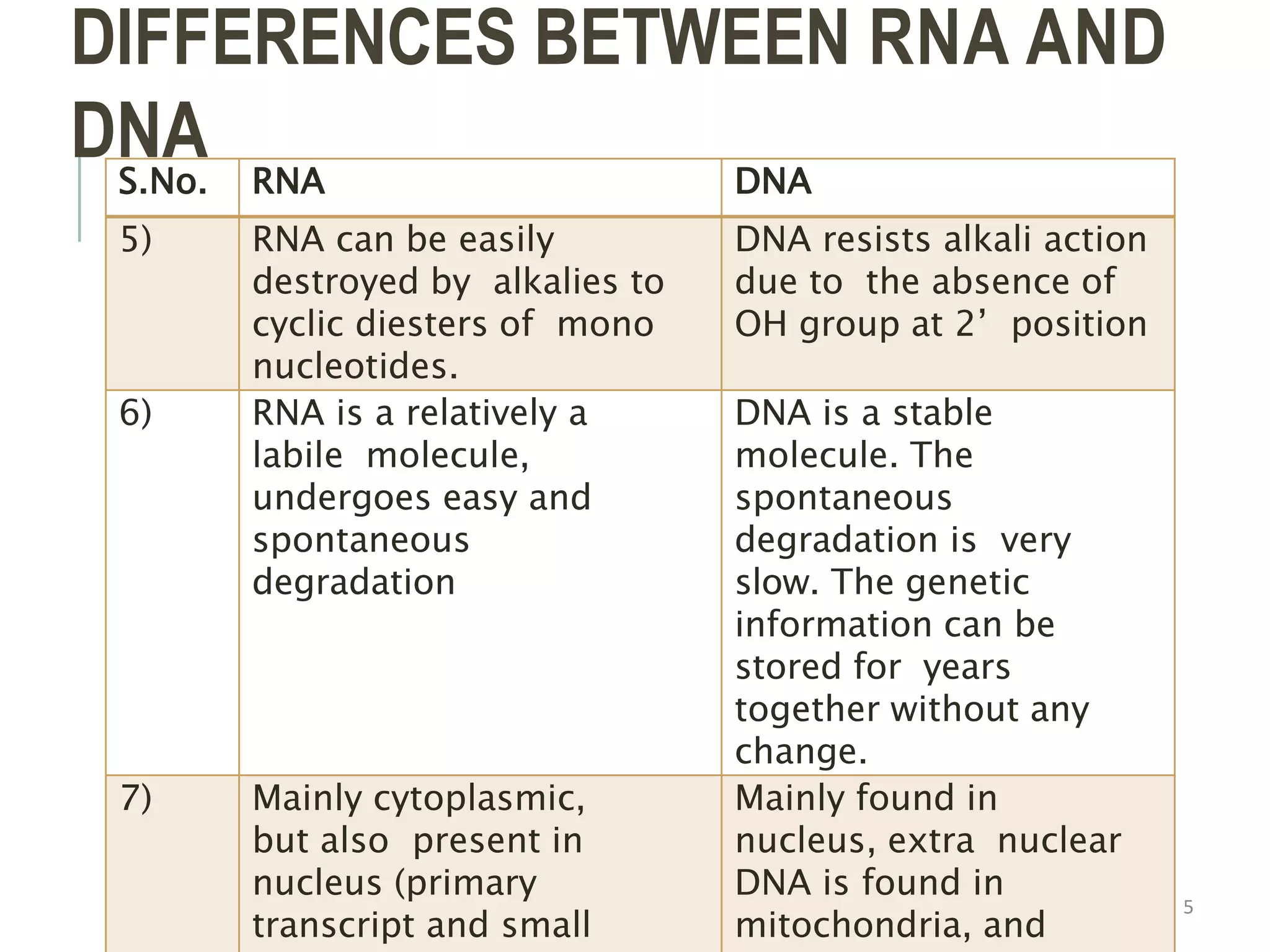 Structure and function of RNA.pptx