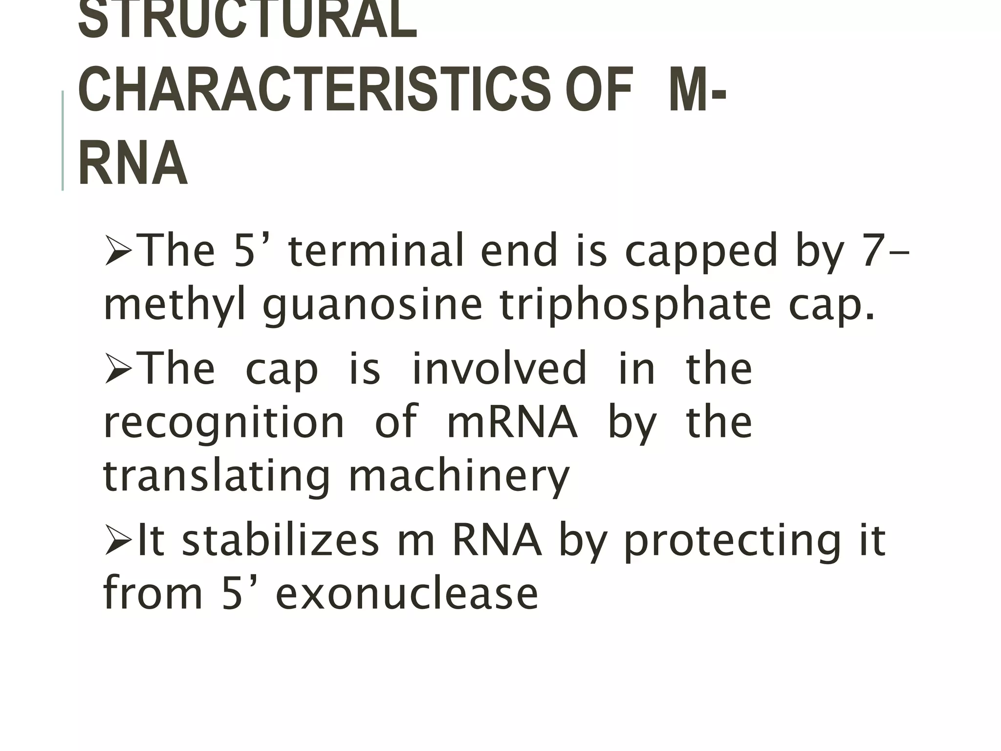 Structure and function of RNA.pptx