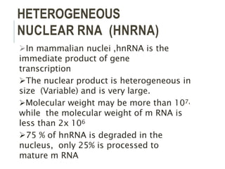 Structure and function of RNA.pptx
