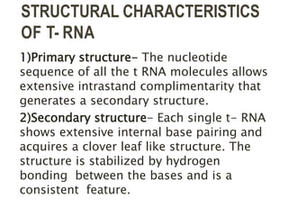 Structure and function of RNA.pptx