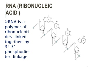 Structure and function of RNA.pptx