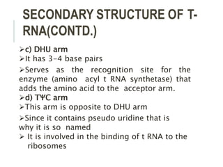 Structure and function of RNA.pptx