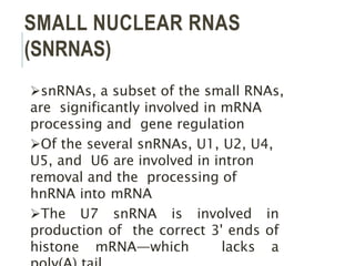 Structure and function of RNA.pptx