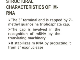Structure and function of RNA.pptx