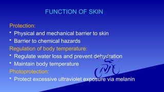 structure and function of structure and function of skin- | PPTX