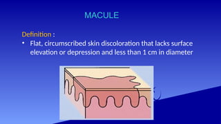 structure and function of structure and function of skin- | PPTX
