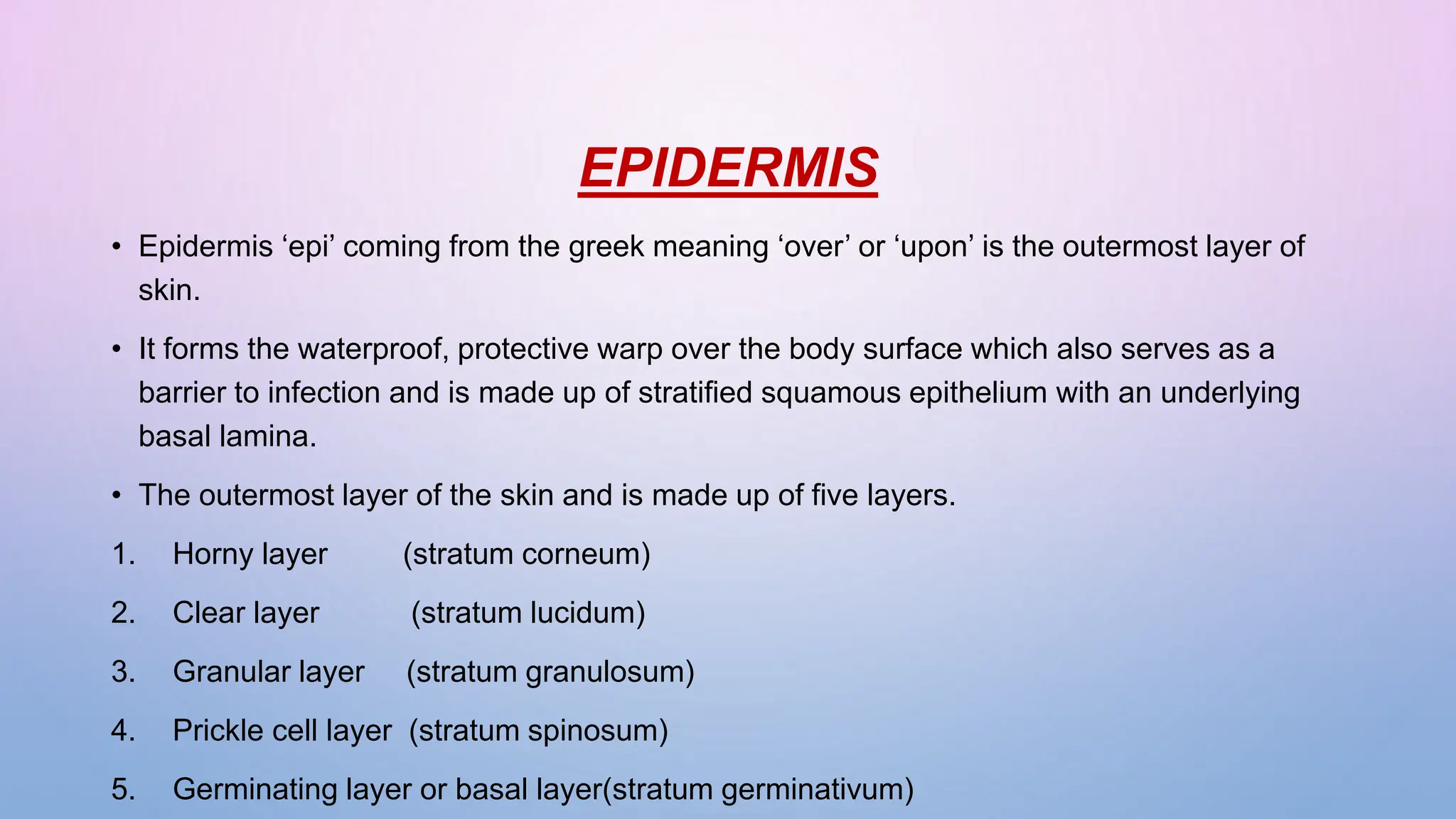 STRUCTURE AND FUNCTION OF SKIN.VAm.pptx