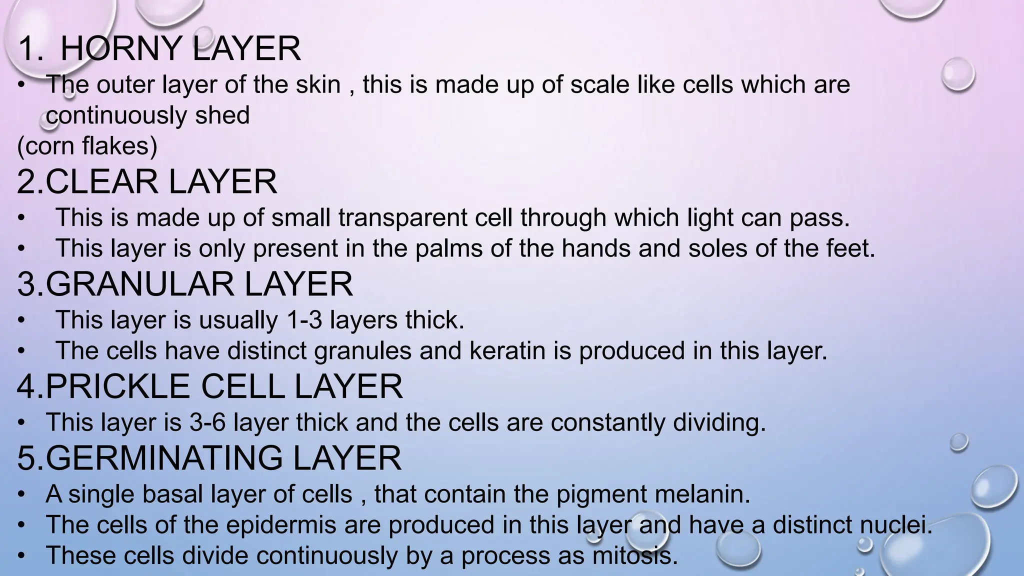 STRUCTURE AND FUNCTION OF SKIN.VAm.pptx