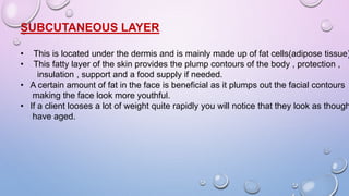 STRUCTURE AND FUNCTION OF SKIN.VAm.pptx