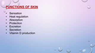 STRUCTURE AND FUNCTION OF SKIN.VAm.pptx