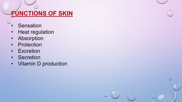 STRUCTURE AND FUNCTION OF SKIN.VAm.pptx