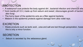 STRUCTURE AND FUNCTION OF SKIN.VAm.pptx
