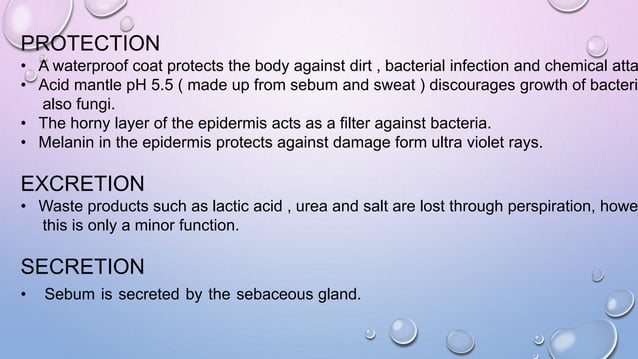STRUCTURE AND FUNCTION OF SKIN.VAm.pptx
