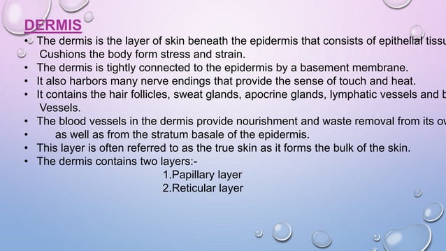 STRUCTURE AND FUNCTION OF SKIN.VAm.pptx
