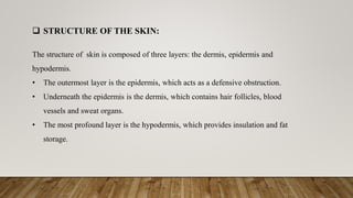 Skin: Structure and function of the skin | PPTX