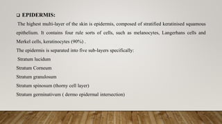 Skin: Structure and function of the skin | PPTX