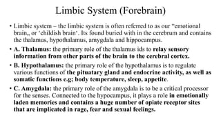 Structure and function of the Brain including Surgical.pdf