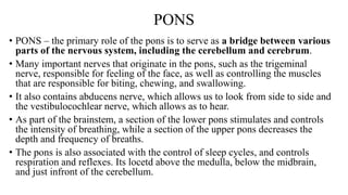 Structure and function of the Brain including Surgical.pdf