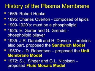 Structure and function of the cell membrane.ppt
