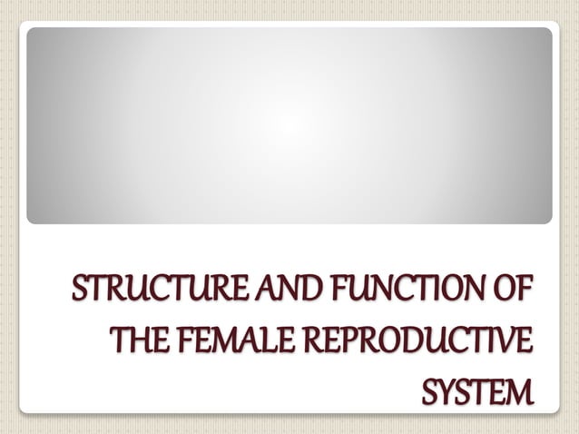 STRUCTURE AND FUNCTION OF THE FEMALE REPRODUCTIVE SYSTEM.pptx ...