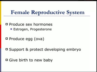 STRUCTURE AND FUNCTION OF THE FEMALE REPRODUCTIVE SYSTEM.pptx ...